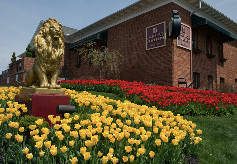 James Free Jewelers in Cincinnati